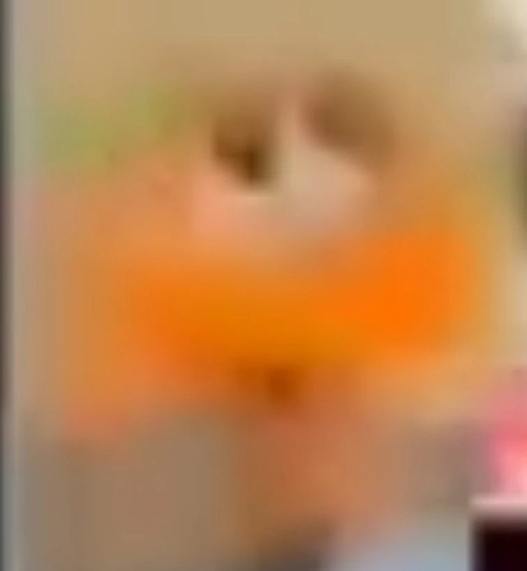 Ban the picture above you: The return | Fandom