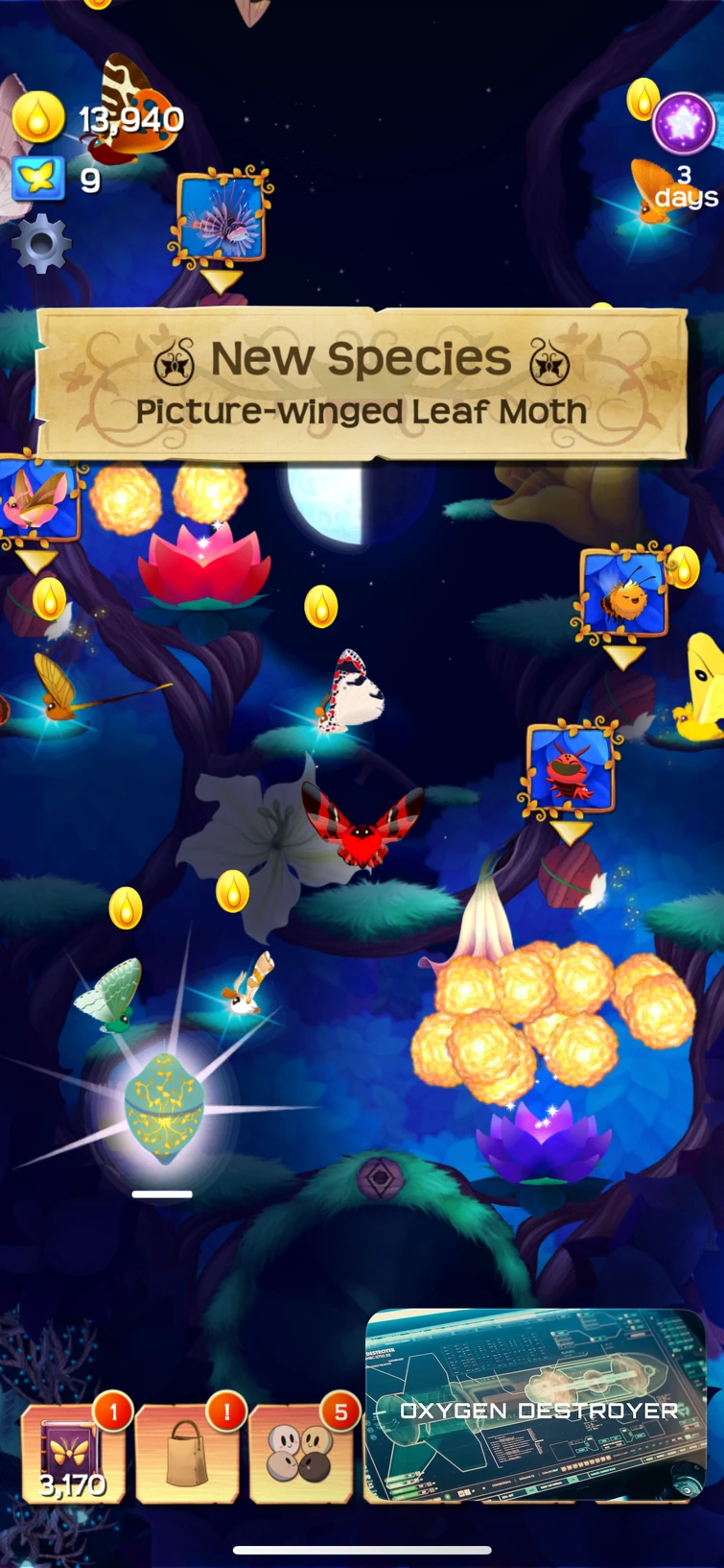 Discuss Everything About Flutter: Starlight Wikia | Fandom