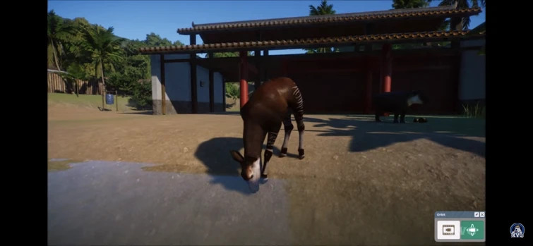 Did you see how the okapi drinks in this game? | Fandom