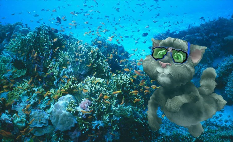 Talking Tom Facebook Media | Fandom