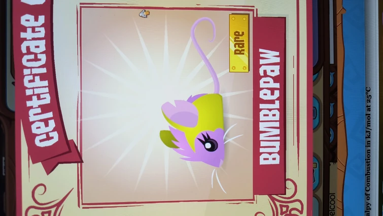 Discuss Everything About Animal Jam Item Worth Wiki | Fandom