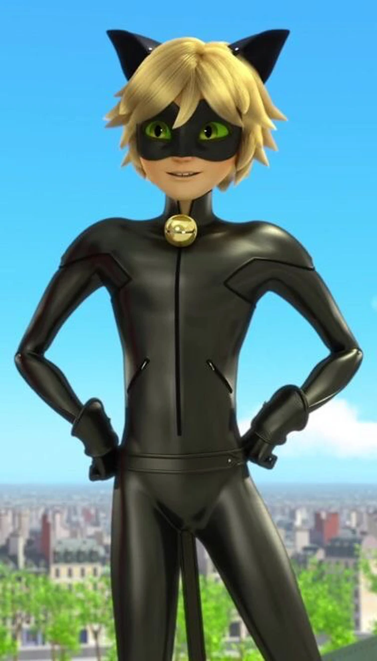 Chat noir smiling to brighten up your day | Fandom