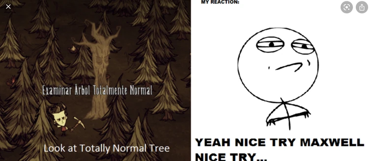 Discuss Everything About Don't Starve Wiki | Fandom