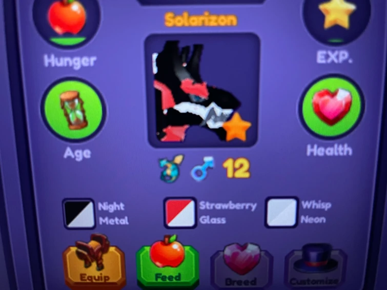 Discuss Everything About Dragon Adventures Wiki | Fandom