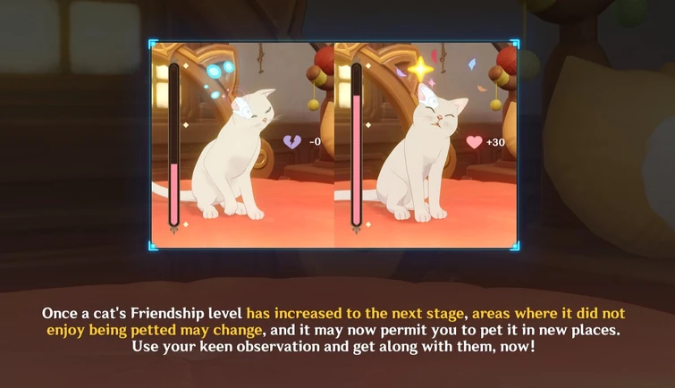 Certified cat moment | Fandom