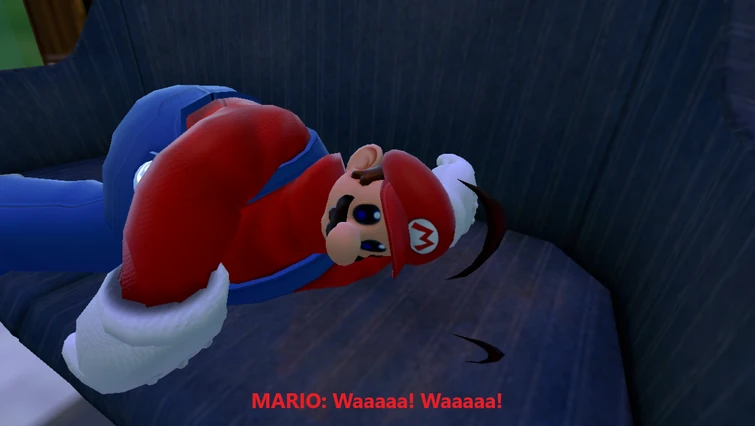 Mario the Homeless Man | Fandom