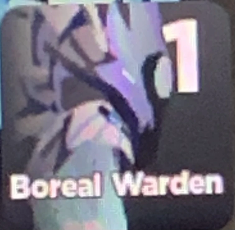 Trading/selling sp boreal warden | Fandom