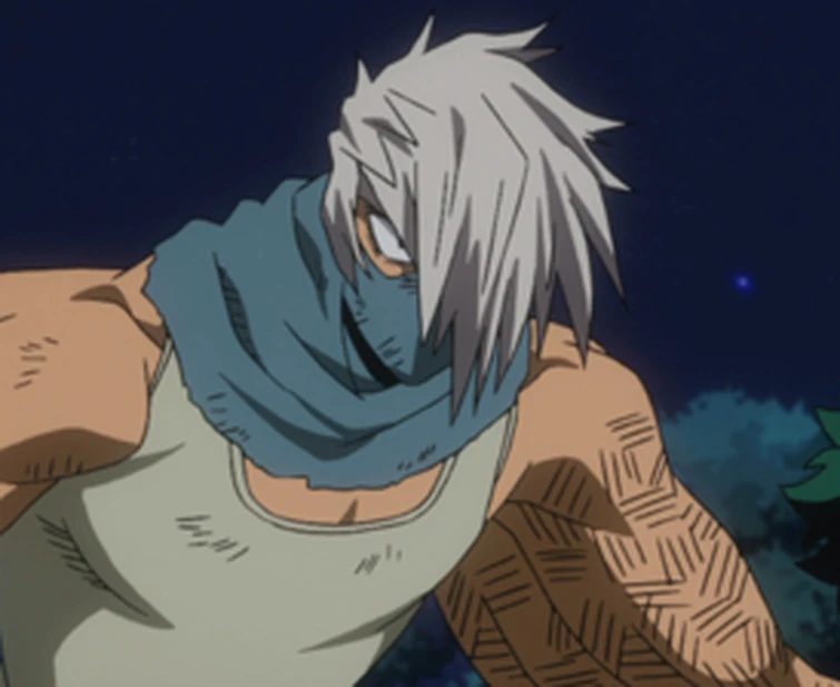 Top 10 Guyfu’s in My Hero Academia. | Fandom