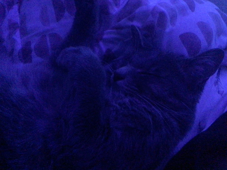 Here’s a pic of Enmu (my oc I think some of us should know this by now ...