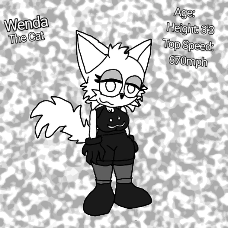 wenda as a sonic character | Fandom