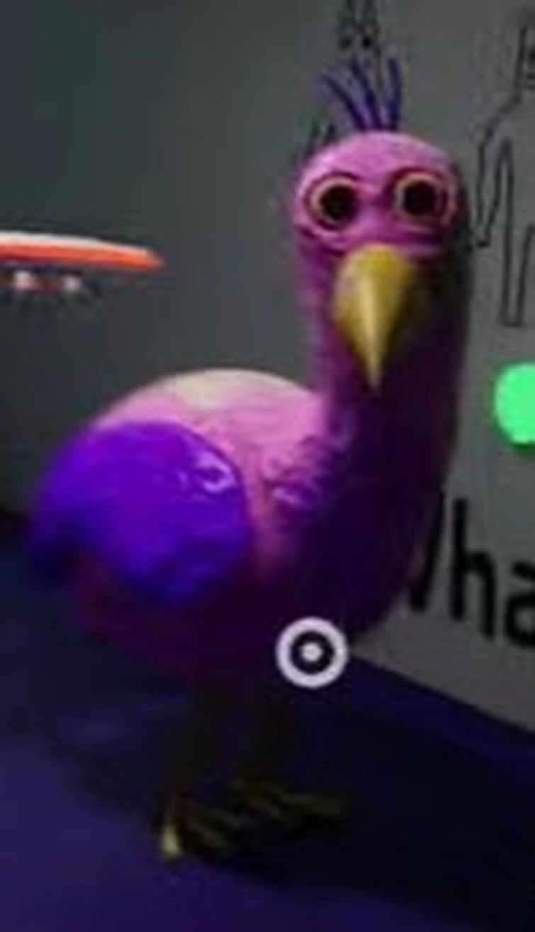 reblog if u love this stupid freaking bird | Fandom