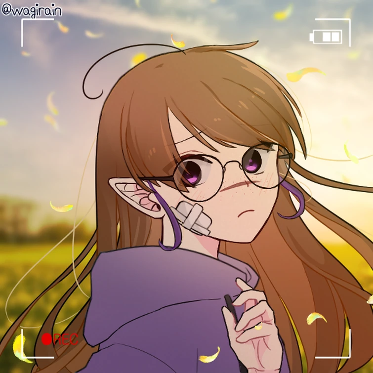 What I would look like in the DSMP! | Fandom