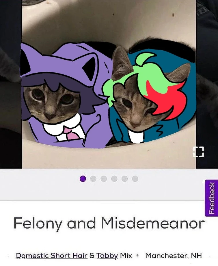 Going feral | Fandom