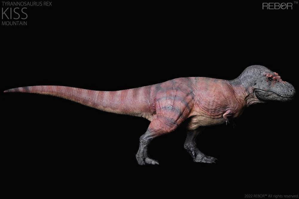 Scientifically accurate Tyrannosaurus figures | Fandom