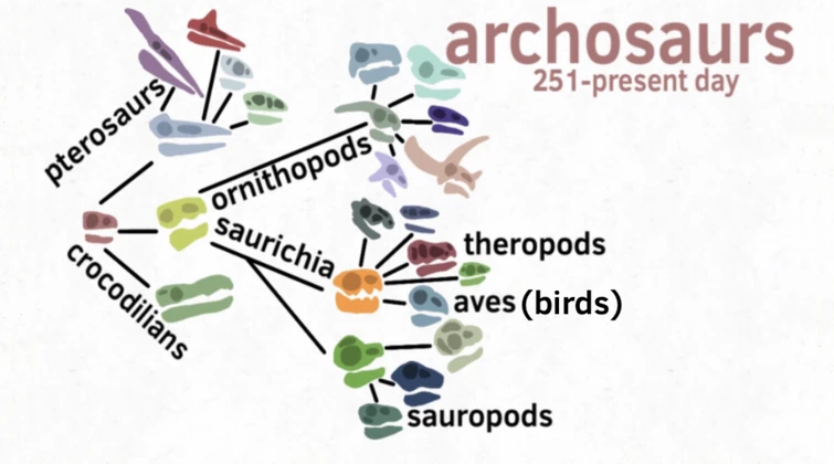 Discuss Everything About Dinopedia | Fandom