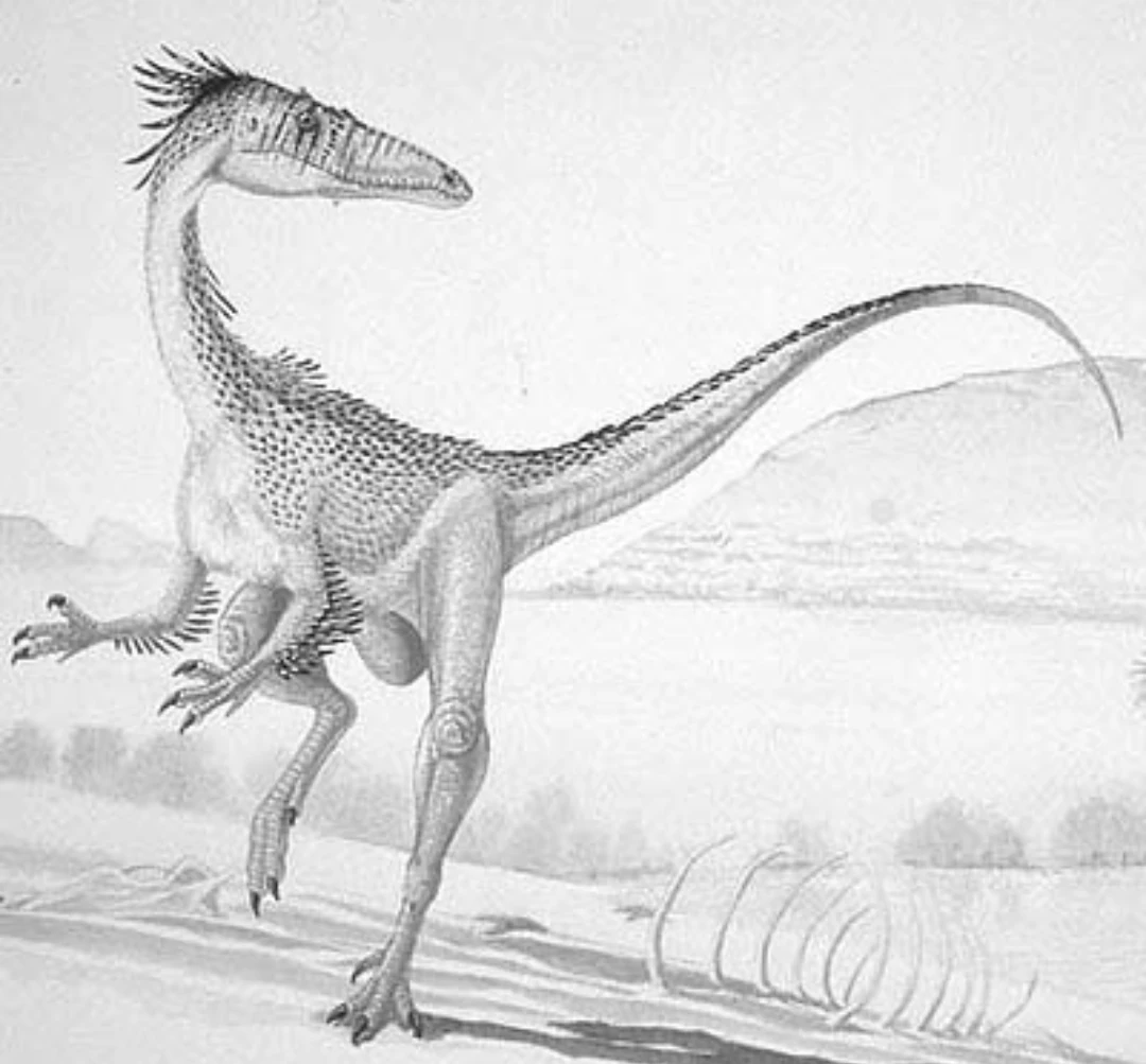 Paleo exhibit | Fandom