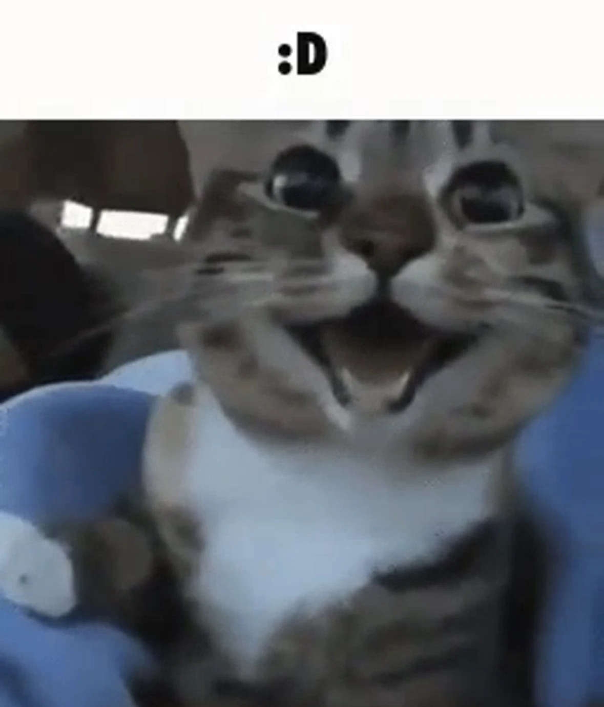 :D | Fandom