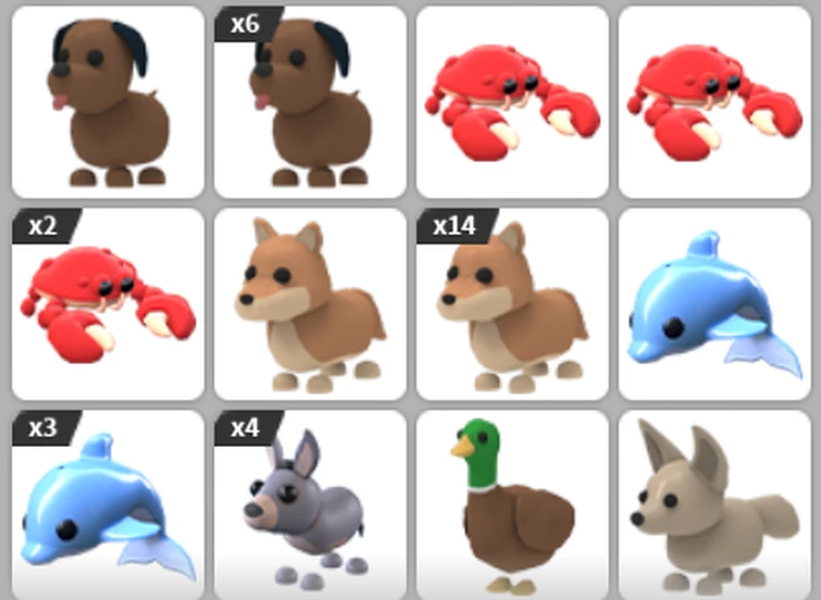 Discuss Everything About Adopt Me! Wiki | Fandom