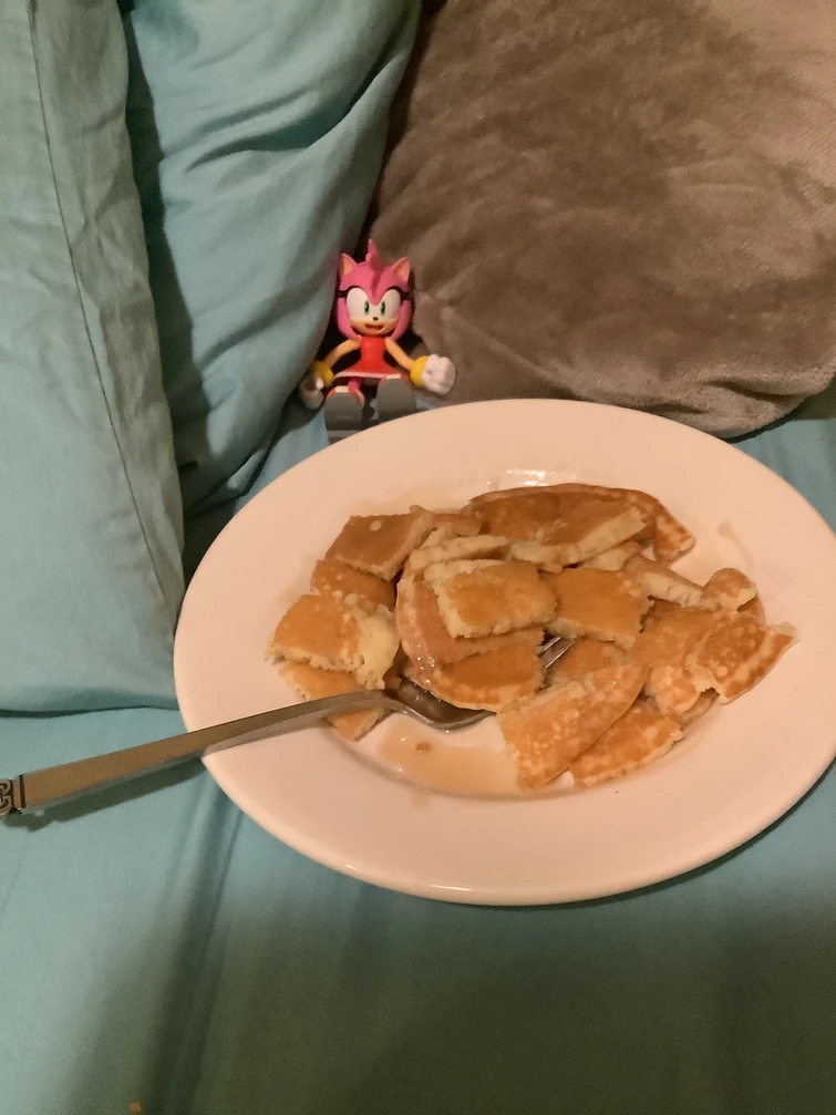 Amy rose eating my pancakes | Fandom