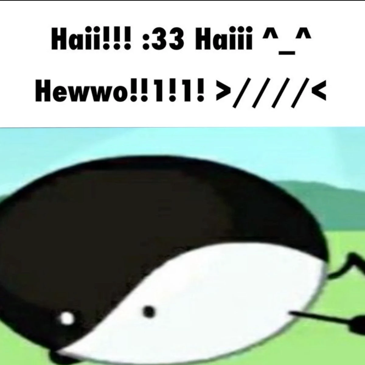 Good evening chat | Fandom