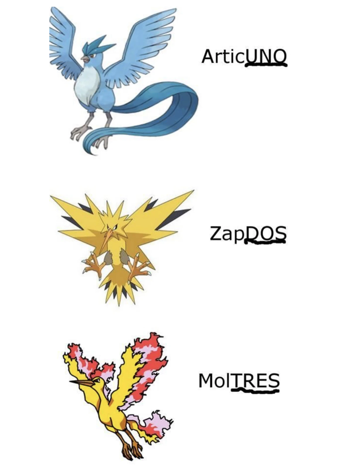 spanish birds | Fandom