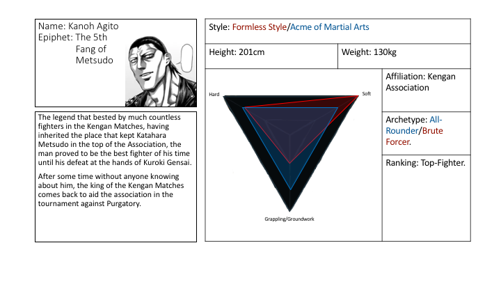 Fighter Files: Formless style | Fandom