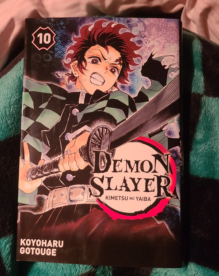 I bought some Demon Slayer books! | Fandom