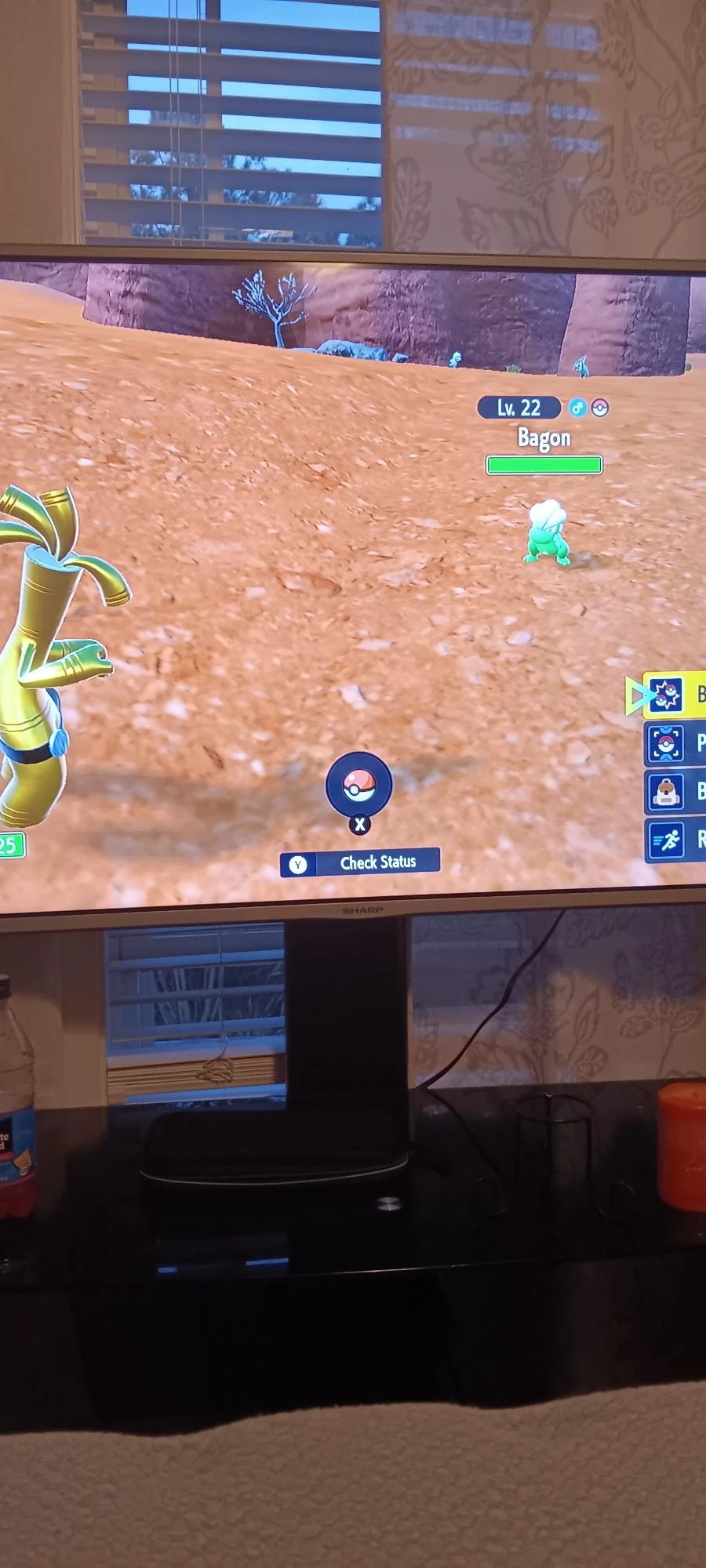 𝕐𝕪𝕒𝕪𝕒𝕪𝕒 | Fandom