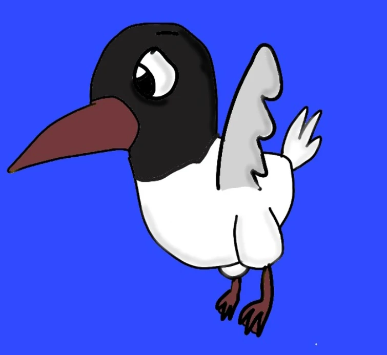 Black headed gull | Fandom