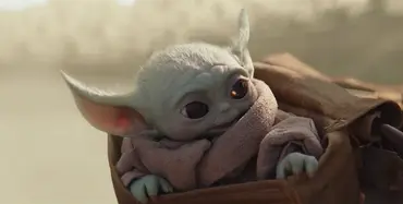 Discuss Everything About Wookieepedia | Fandom