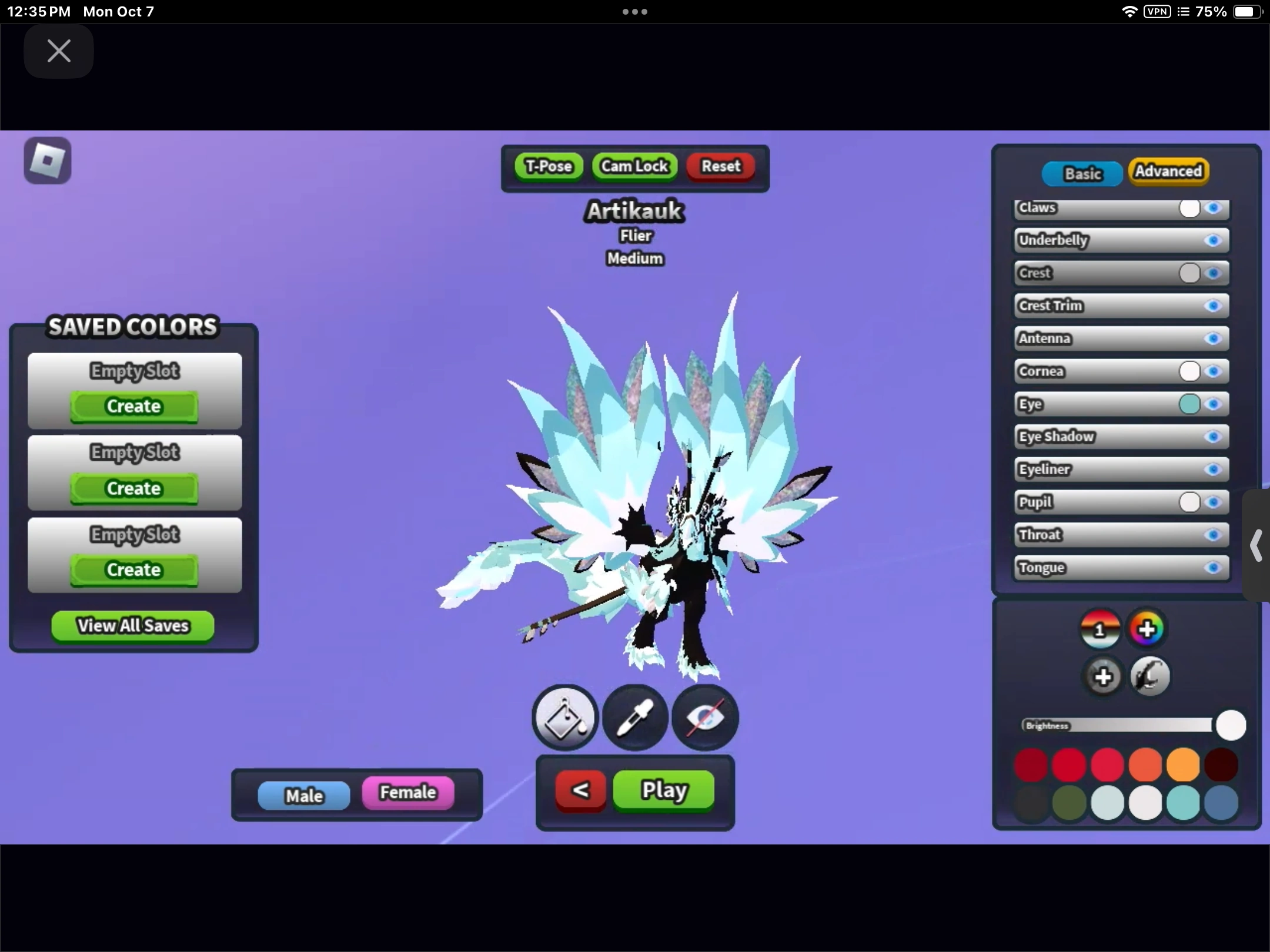 Idk new skin ig | Fandom