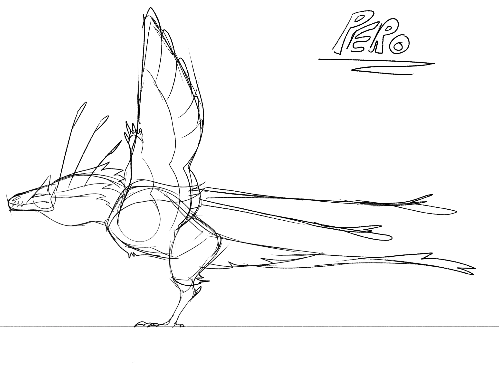 Pero redesign | Fandom