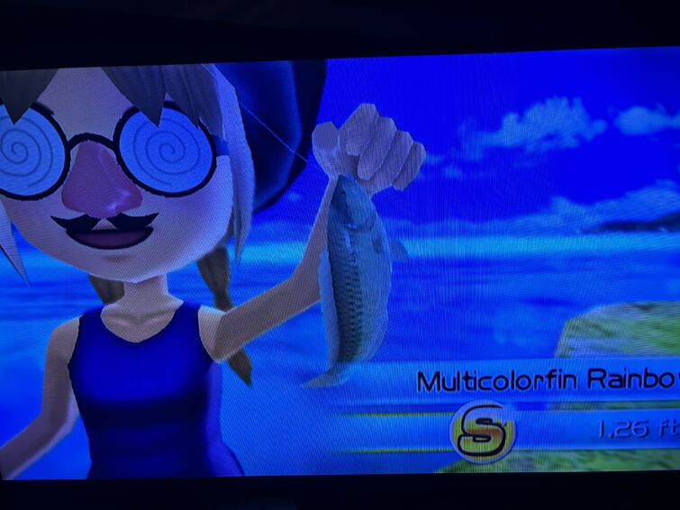 Discuss Everything About Wii Fishing Resort Wiki | Fandom