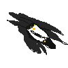 pixel corv! | Fandom