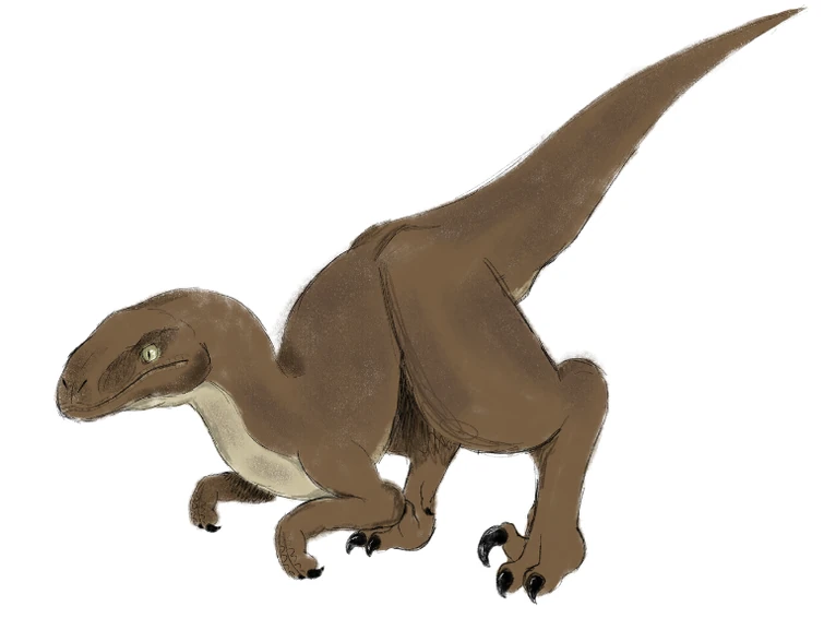 velociraptor | Fandom