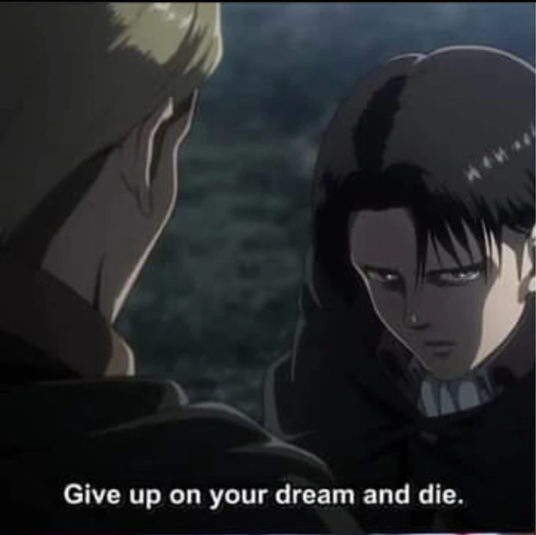 Erwin dancho just waiting in heaven to levis death | Fandom
