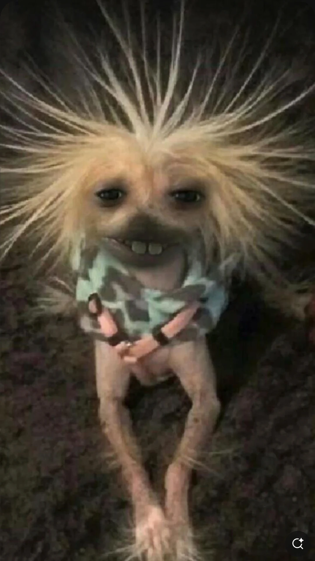 Say something in the comments and I’ll put a cursed meme/pic as a reply ...