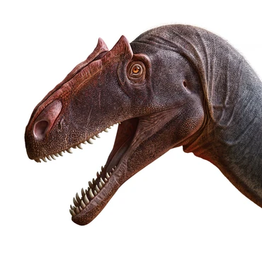 Discuss Everything About Dinopedia | Fandom