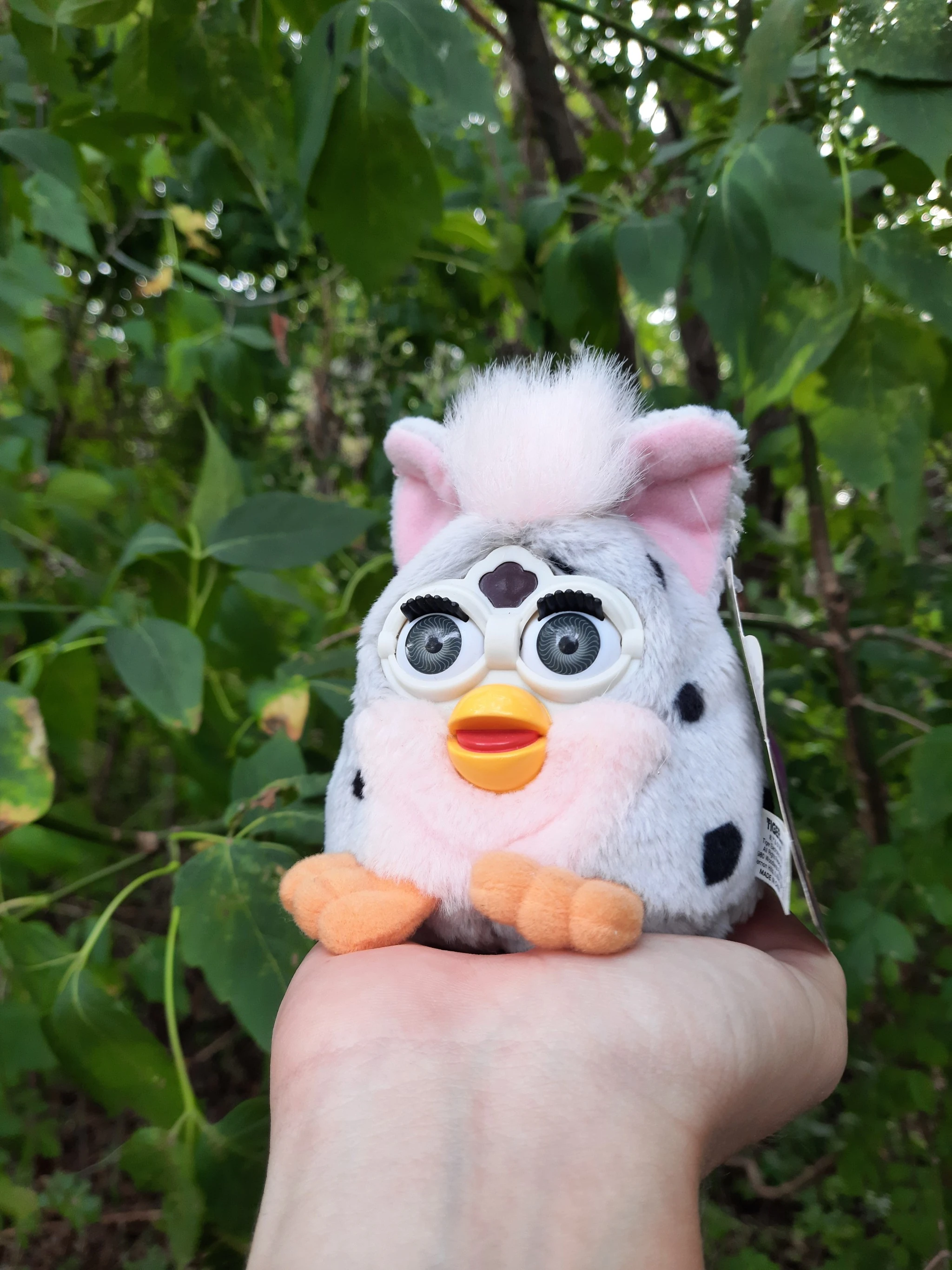 Dennis 🤍 | Fandom