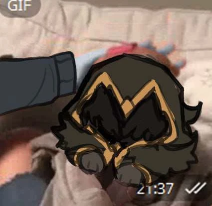 I am going to sleep | Fandom