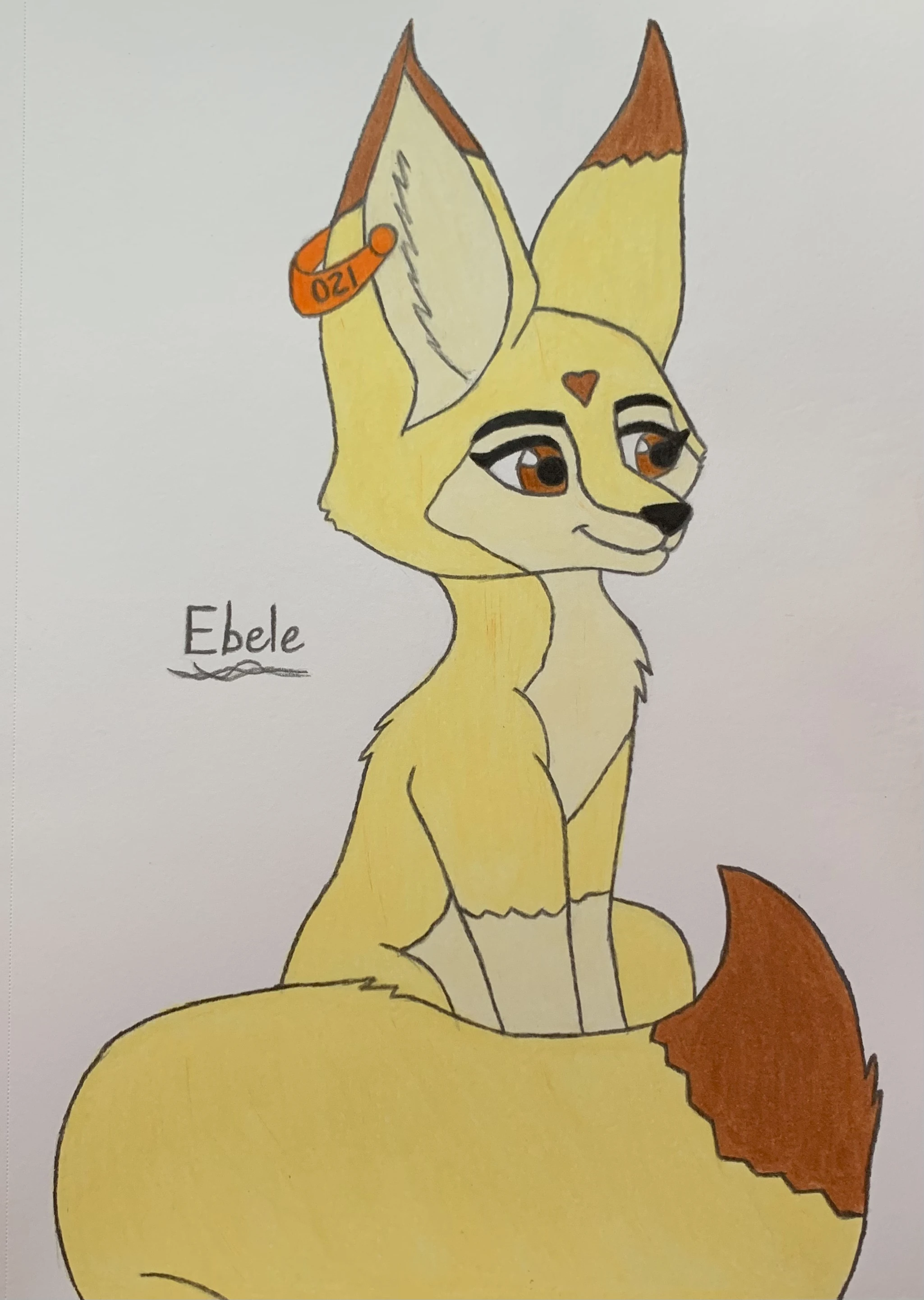 Ebele the Fennec Fox (OC) | Fandom