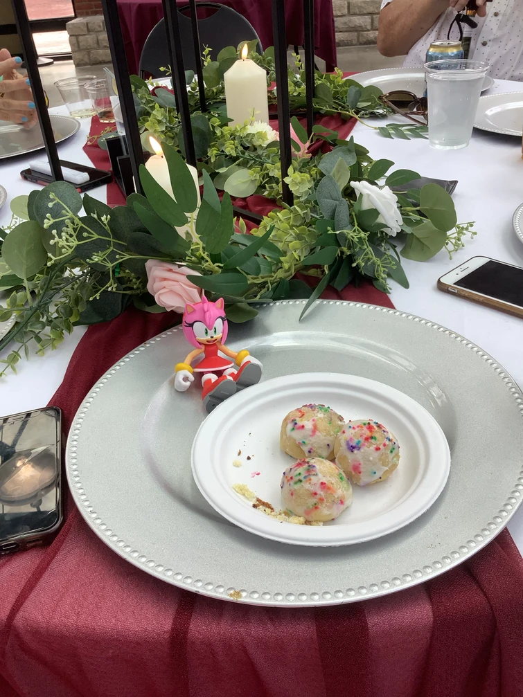 I took Amy rose to a wedding | Fandom