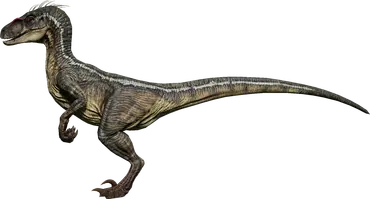 Who would Win? | Fandom