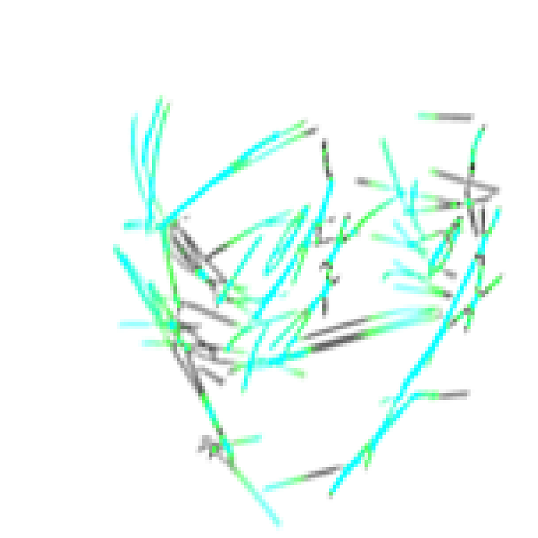 Fan made L section entities | Fandom