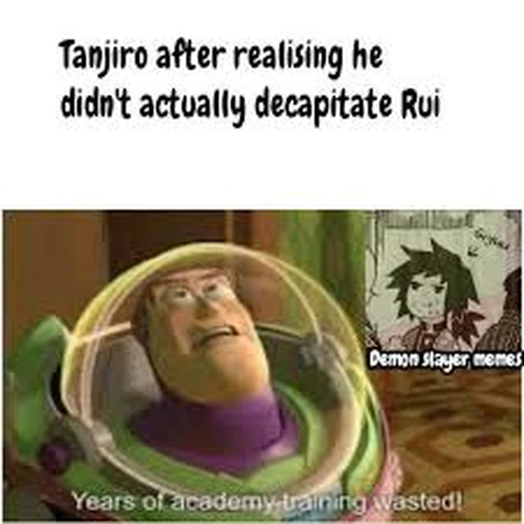 Demon Slayer Memes 2 | Fandom