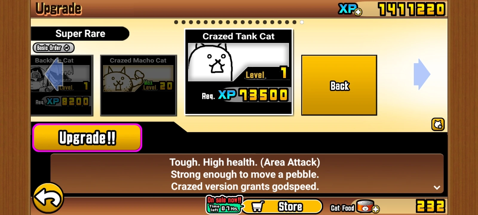 My second crazed cat!!!! | Fandom