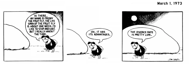 Discuss Everything About Garfield Wiki | Fandom