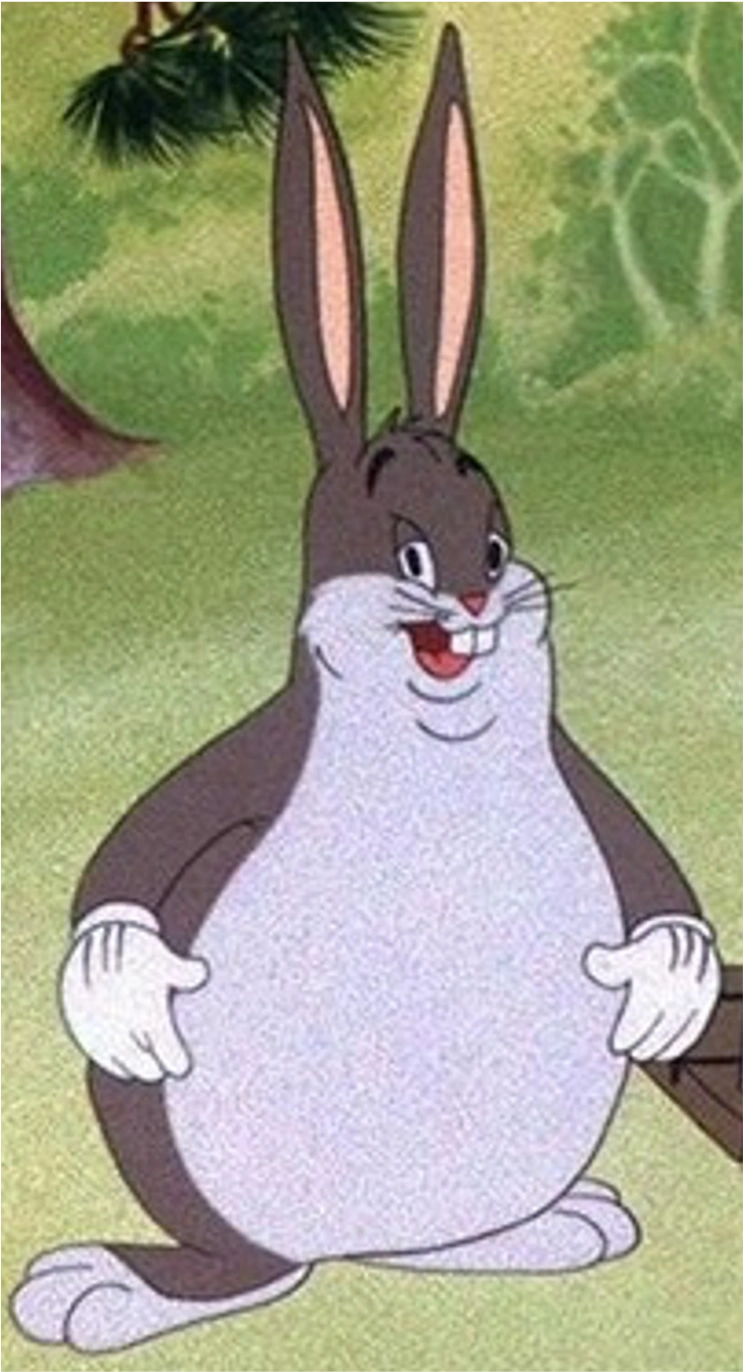 Everyone knows this is the real Big Chungus | Fandom
