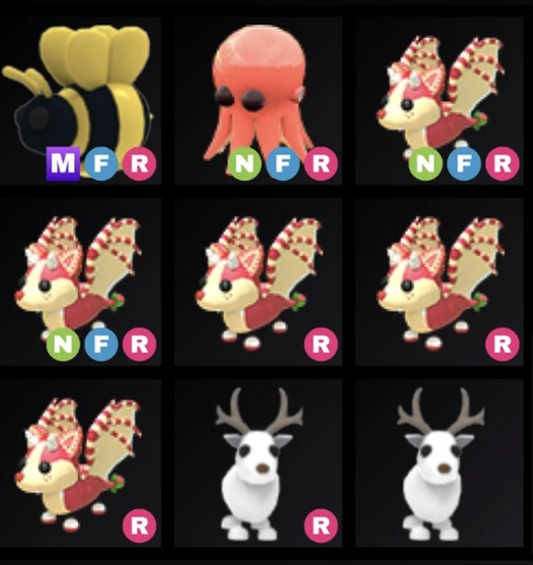 O/F/U for NFR parrot? (IN COMMENTS) | Fandom