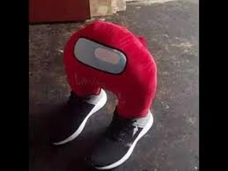 Discuss Everything About Amogus Wiki | Fandom